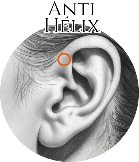 Bijoux de piercing en titane pour l'anti-hélix – Naald Piercing