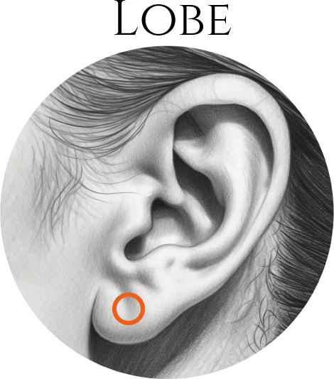 Bijoux de piercing en titane hypoallergénique pour le lobe – Naald®
